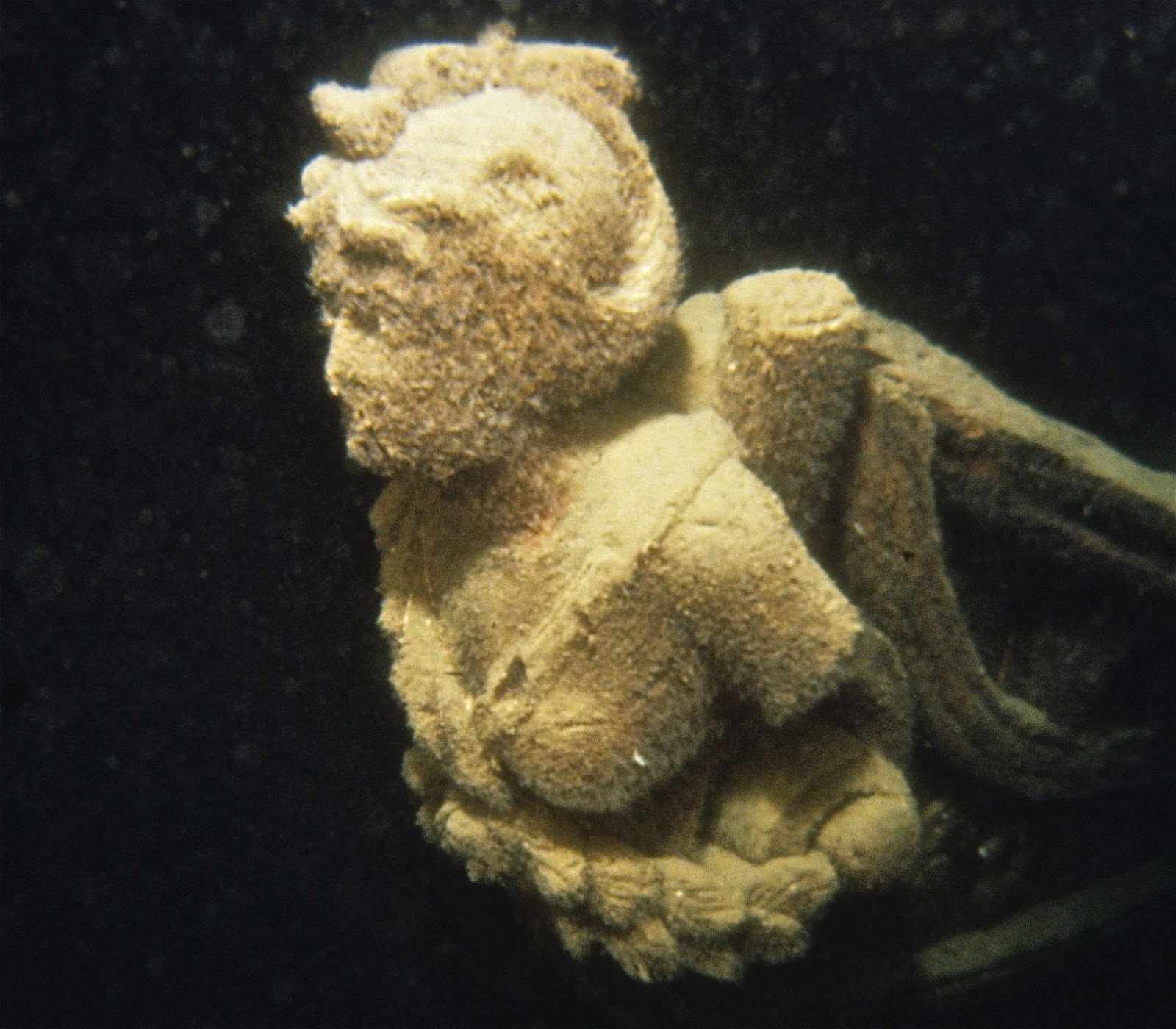 The Old Northwest Notebook: Wrecks of the Hamilton and Scourge, Lost ...