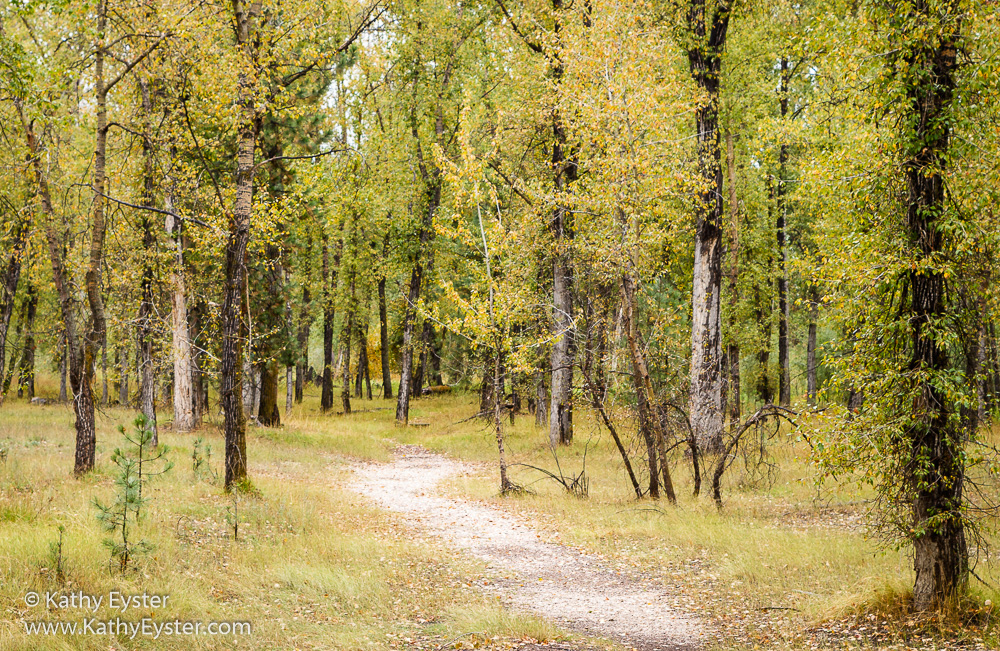 Foot Paths Create Visual Paths