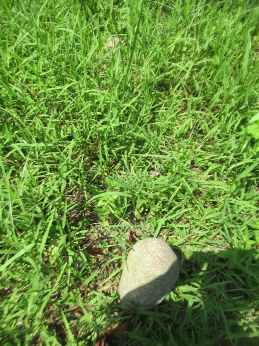 SENI LAMA MELAYU (MALAY OLDEN ART): Makam (Tomb of) Raja Mahadi?