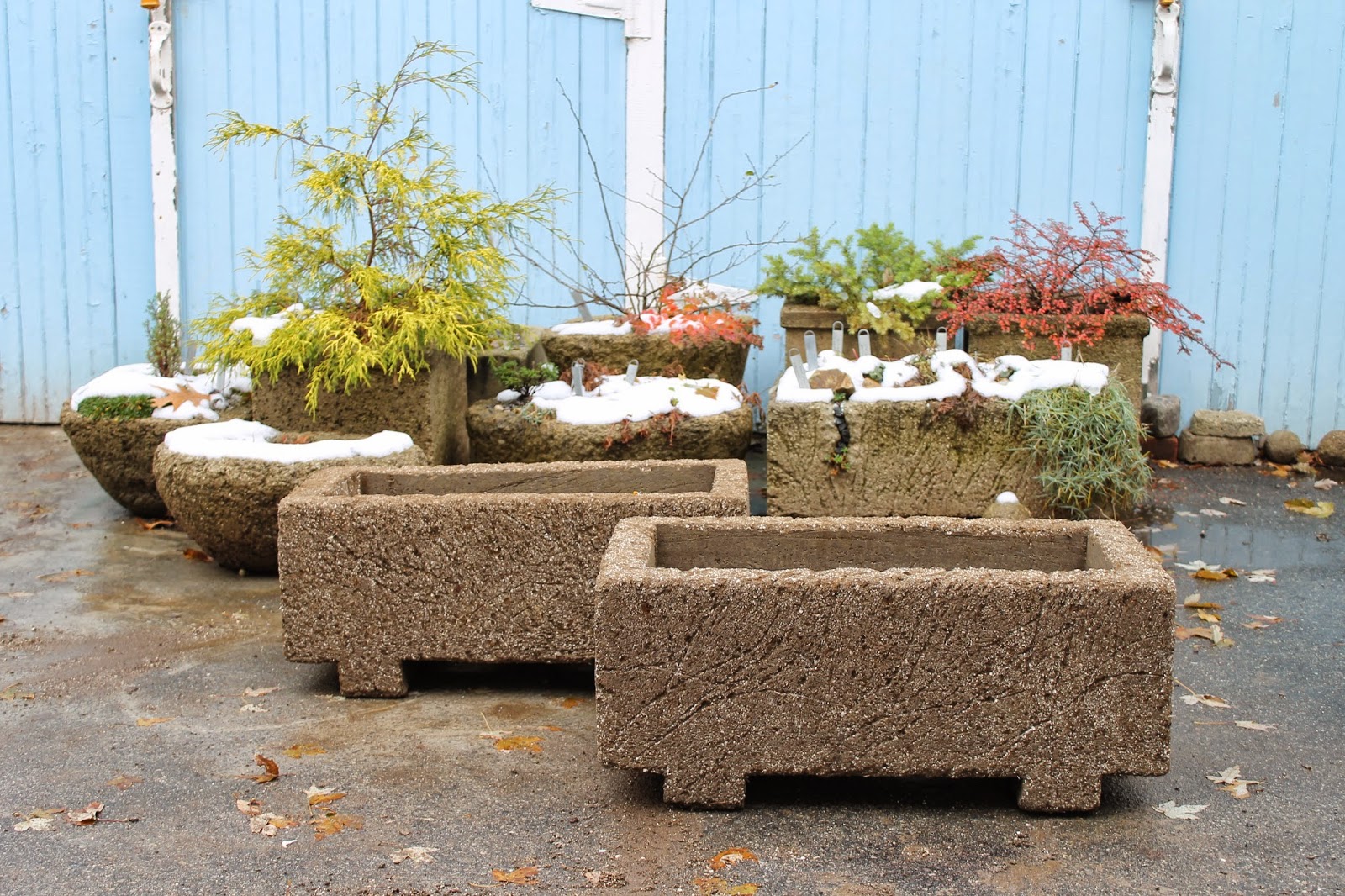 BARROW WORKS: Final New Troughs of the Year