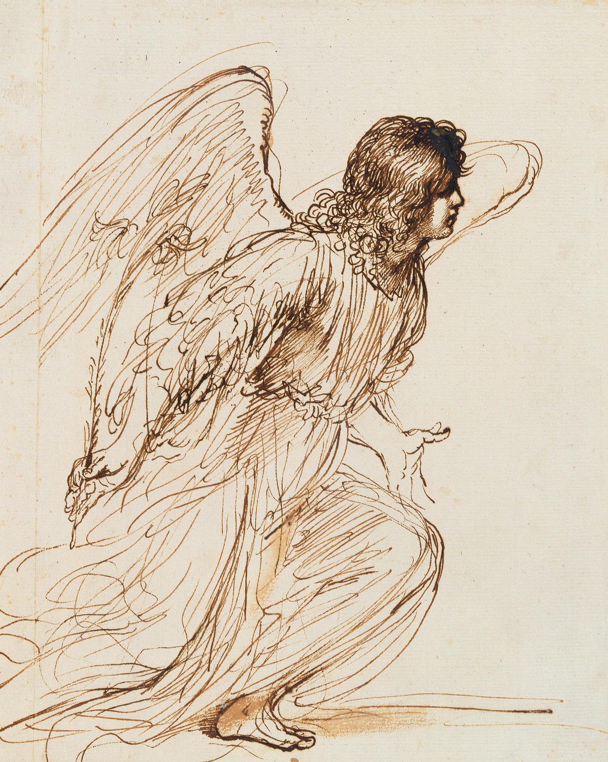 Spencer Alley: January 2019