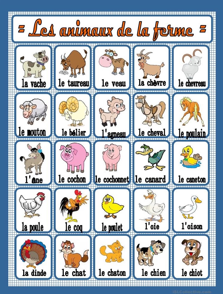 FRANCÉS-EANDO: LES ANIMAUX DE COMPAGNIE ou DOMESTIQUES, LES ANIMAUX DE ...