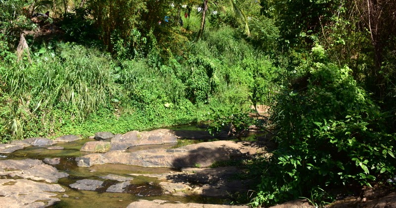 Images of Sri Lanka on blogspot.com: At Watagoda Len Vihara near the ...