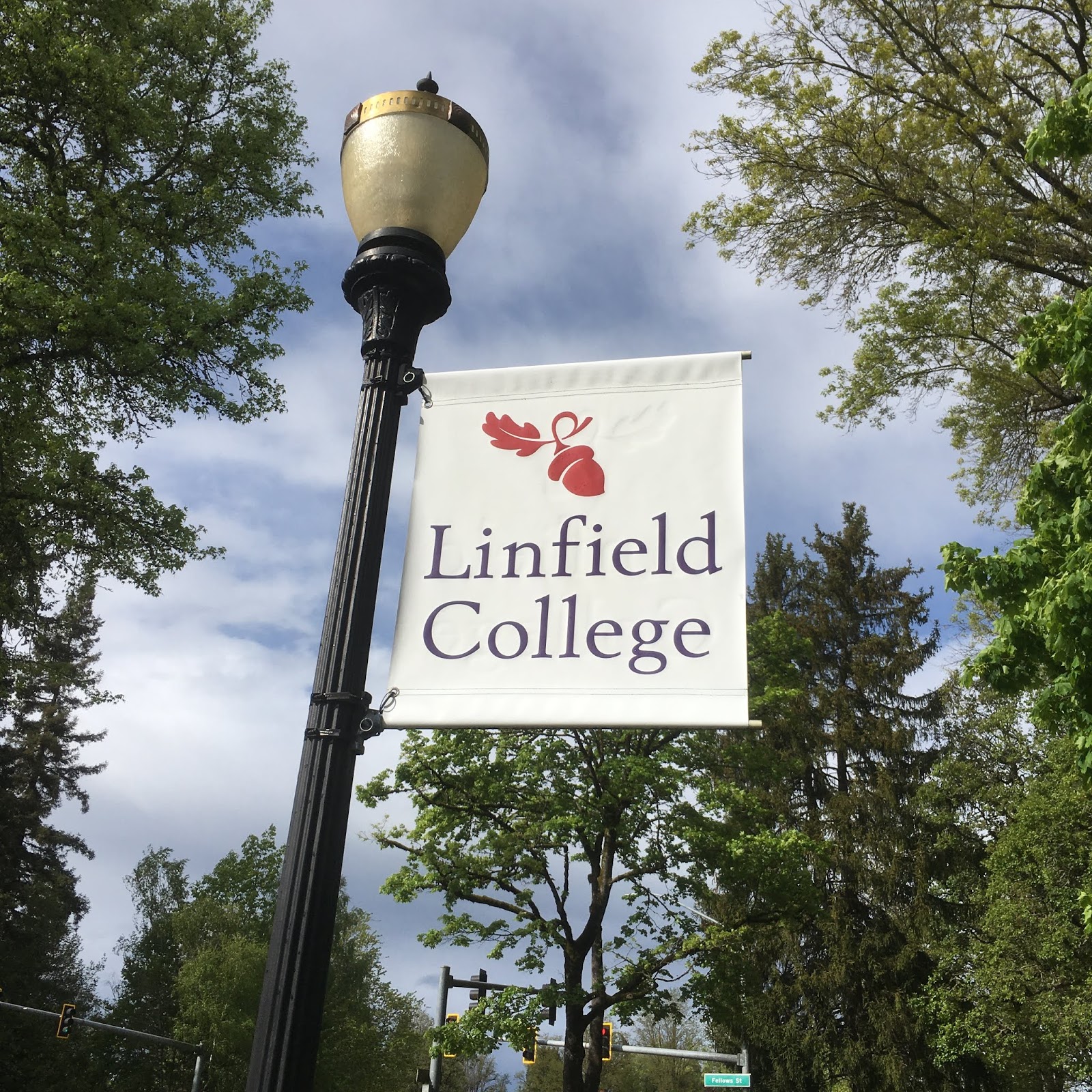 W I L D C A T V I L L E: Linfield College sign of the times, prior ...
