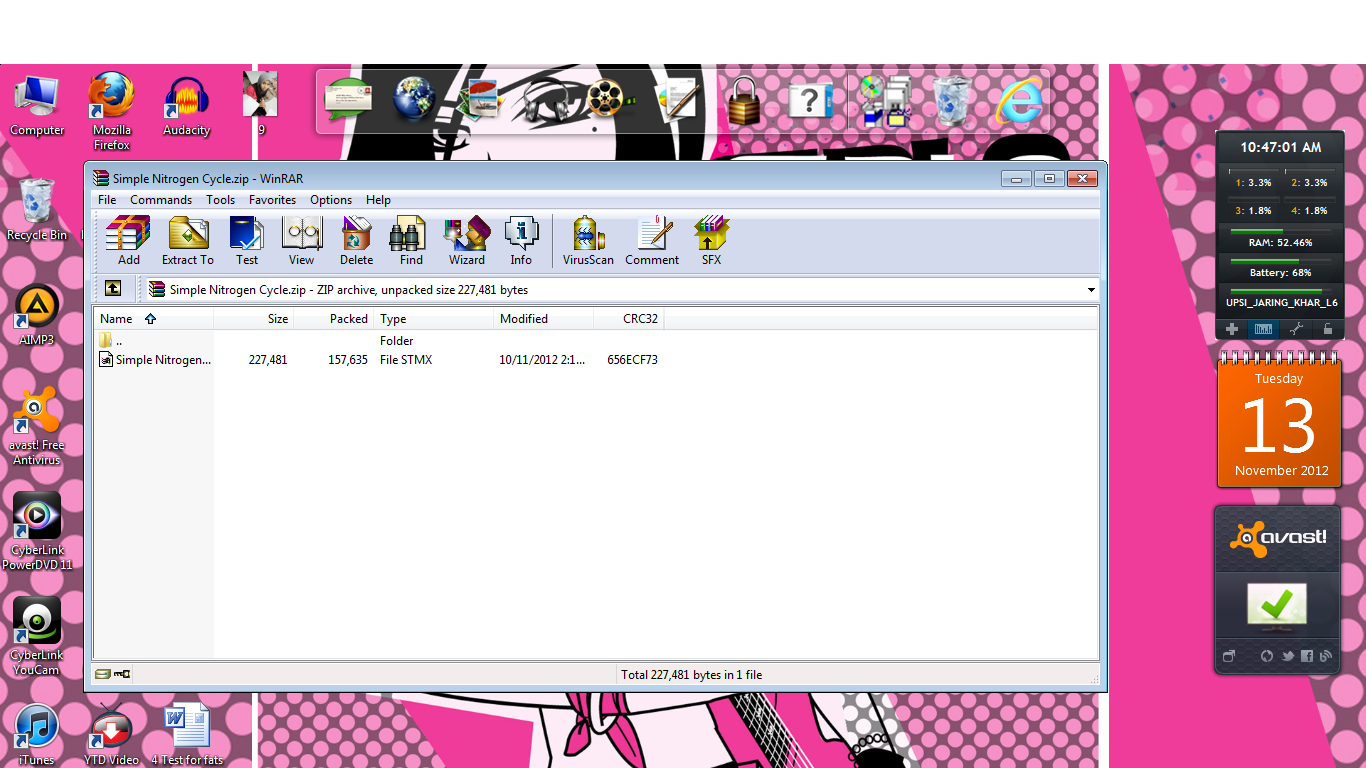 e-Portfolio: Stella Software