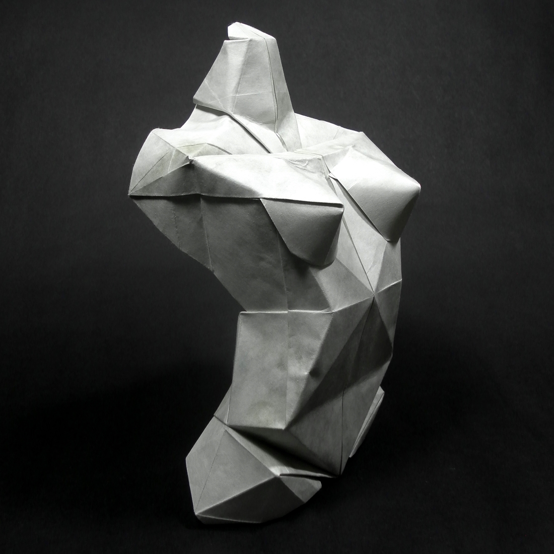 Mariano-Mi mundo el Origami: Torso