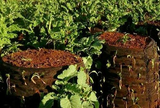 Multi-storey Vegetable Garden technology in Kenya ~ Agro-Environment ...