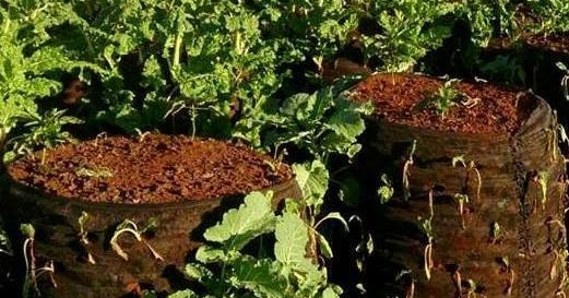 Multi-storey Vegetable Garden technology in Kenya ~ Agro-Environment ...