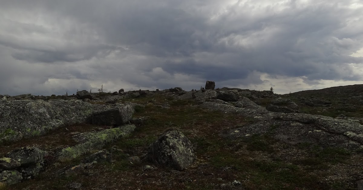 Ukkonen tunturissa — Luontoloinen