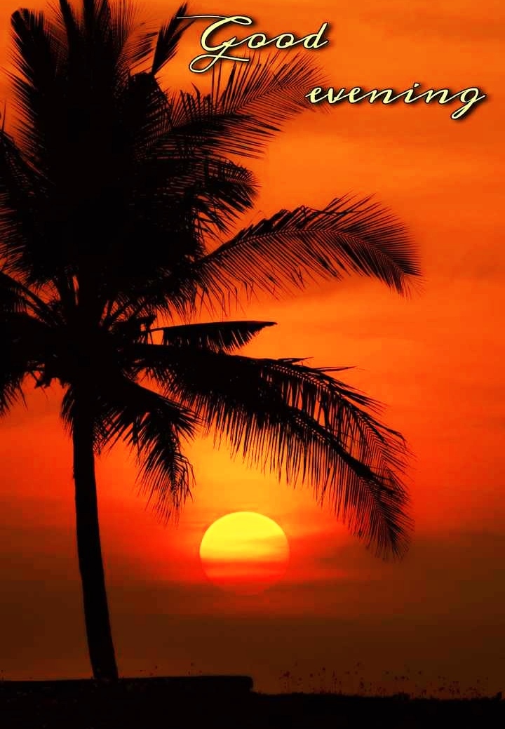 Best 20+ Latest Beautiful Good Evening Images, Photos, Pictures ...