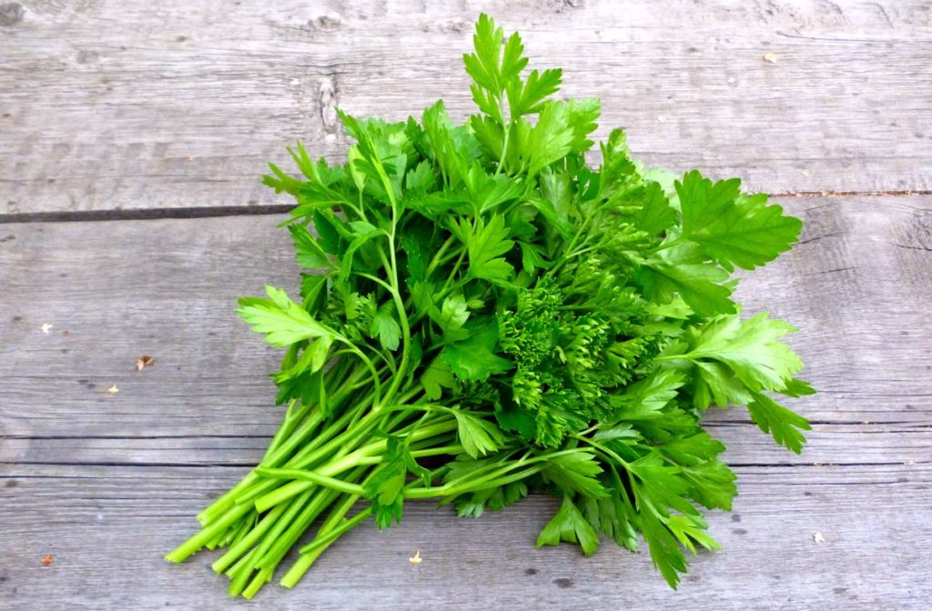 EL BLOG DE SARA: El perejil