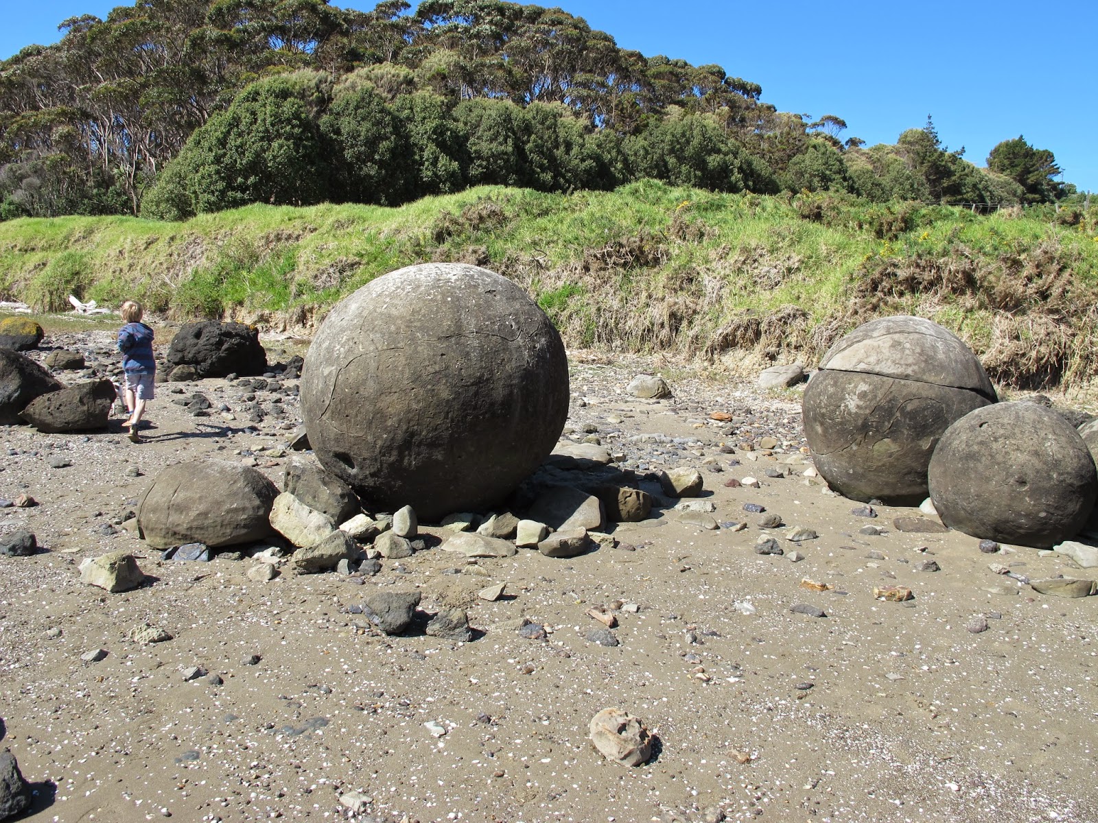 Round the Rocks: Curious New Zealand Concretions