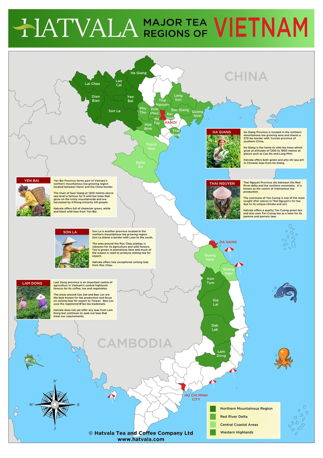 Tea in the ancient world: Advice to beginners about tea