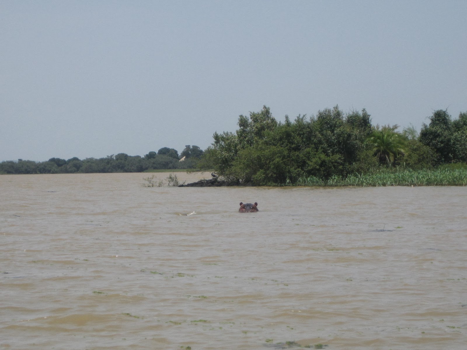 Desde el Salto de Roldán: [Etiopía - 10] Lago Tana y Bahir Dar