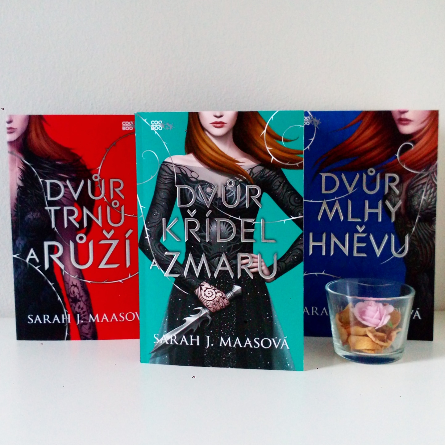 S. J. Maas - Dvůr křídel a zmaru