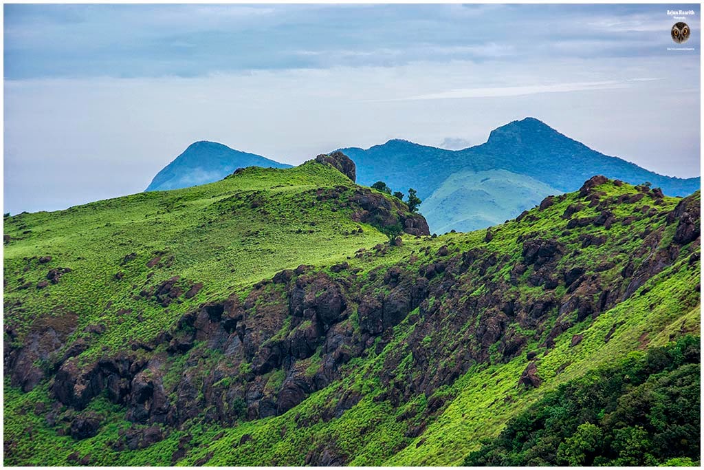Arjun Haarith: In quest of Coorg's highest peak - Tadiandamol