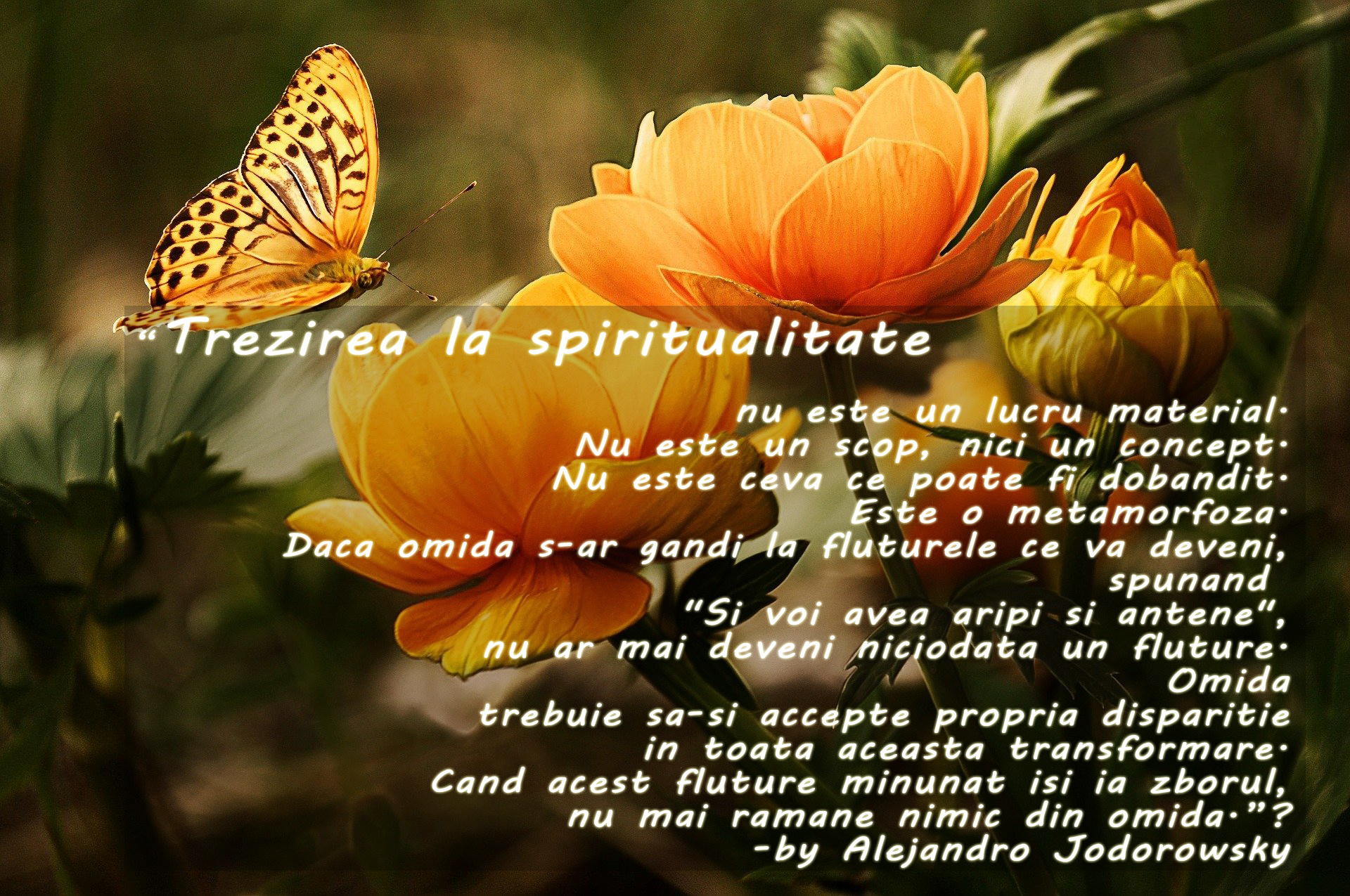 IubireDivinaNeconditionata E-LifeCoaching: Trezirea spirituala