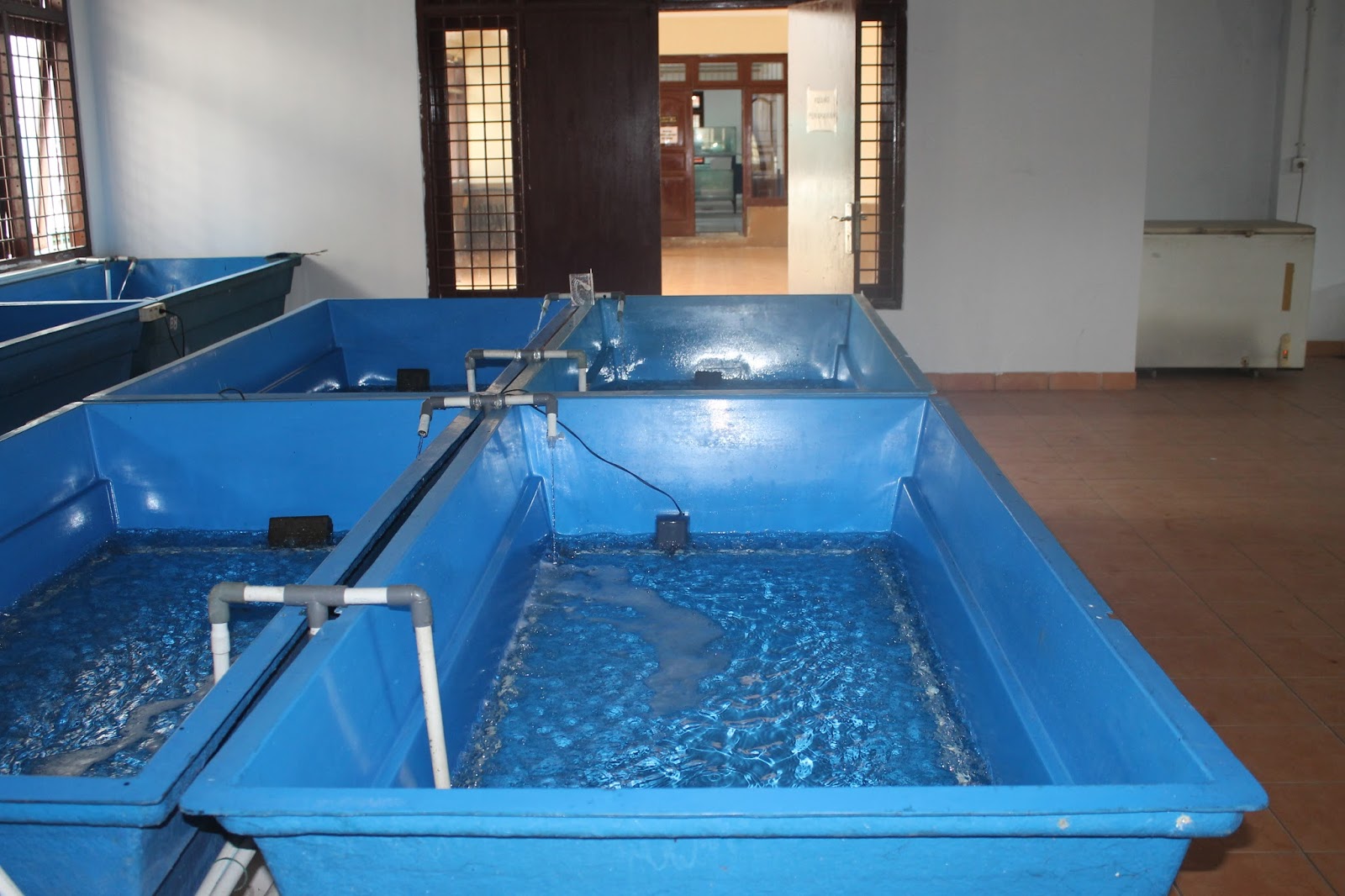 Jasa Pembuatan Bak Fiberglass untuk Ikan Koi