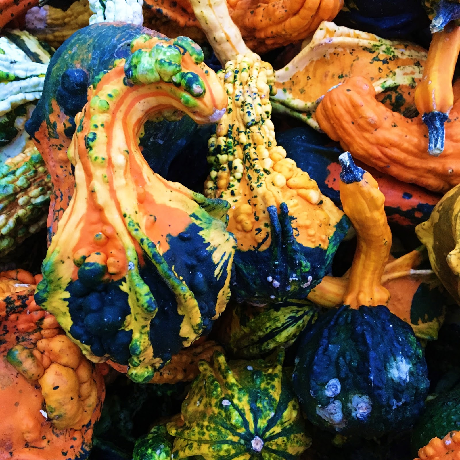 Random-osity: Scav Hunt Sunday: Gourds and Garage