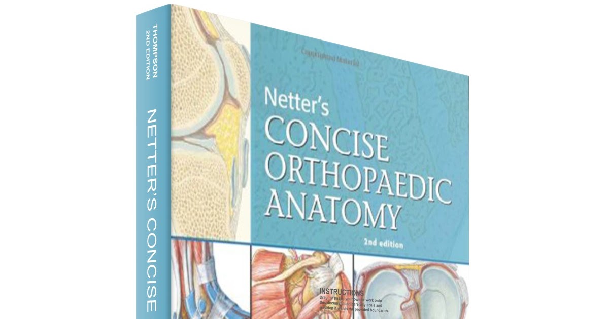 Netter's Concise Orthopaedic Anatomy 2nd Edition (2010) - Medstellar