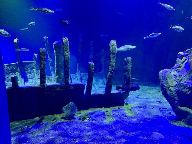 New! Baltic Sea Science Center