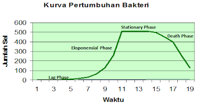 Fase Pertumbuhan Bakteri dan Faktor Yang Mempengaruhinya – CND