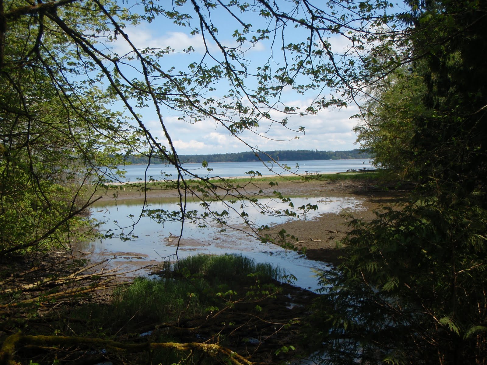 Swing and Slide: Tolmie State Park