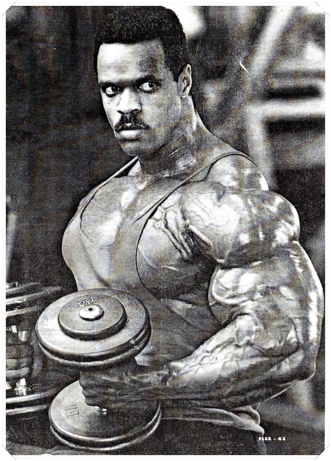 BLOG POLOMAC MP : MOJ NAJPRODUKTIVNIJI PROGRAM TRENINGA-Paul Dillet