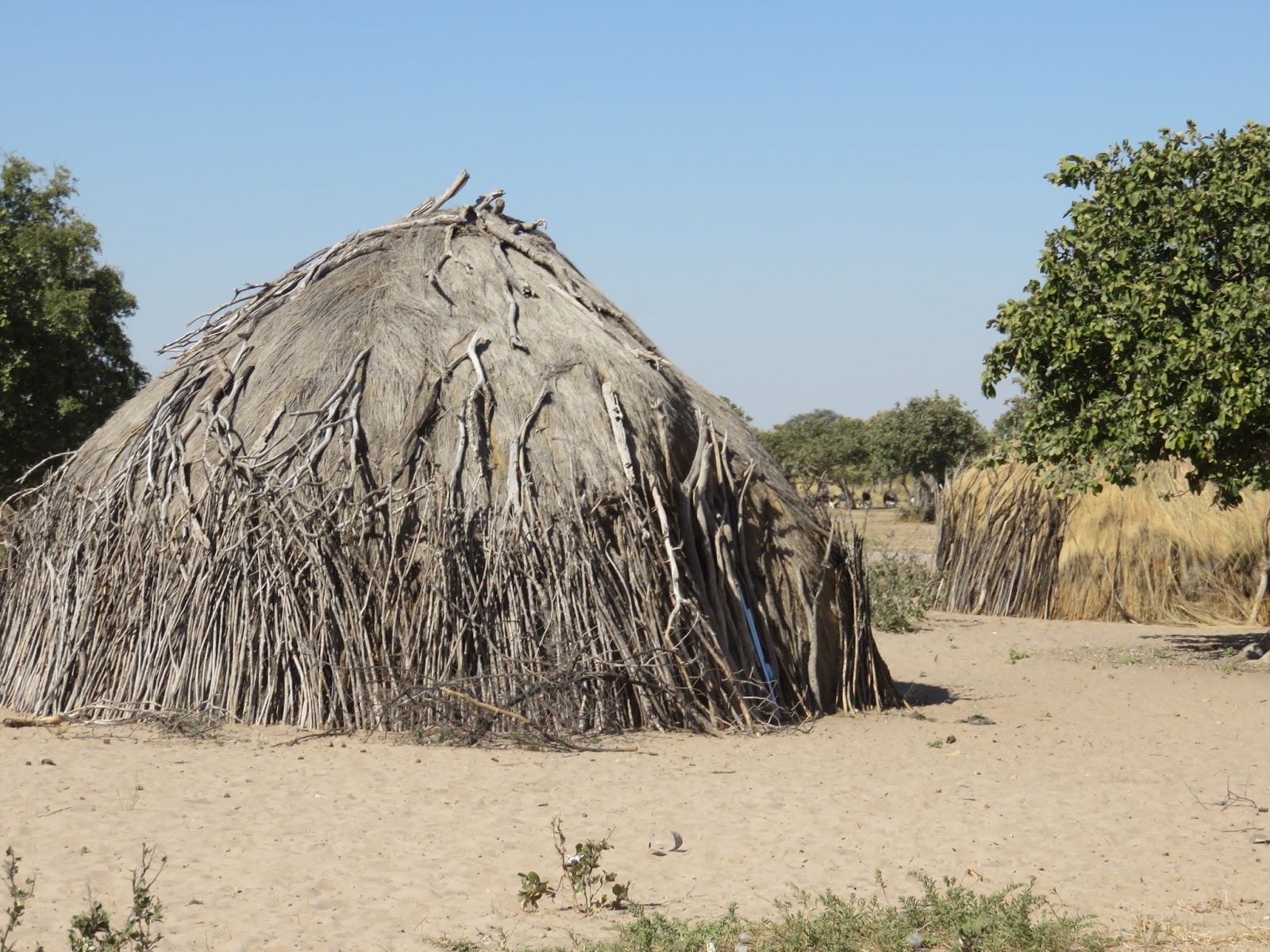 MUDDY HYENA: Roaring Lions, Bushmen Encounters and a Polka?!