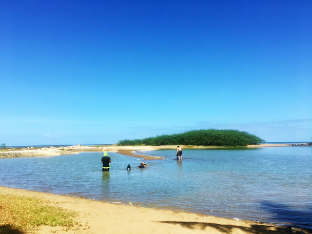 Seafront Beach Resort in Liloan (Cebu North) Entrance Fee, Cottage ...