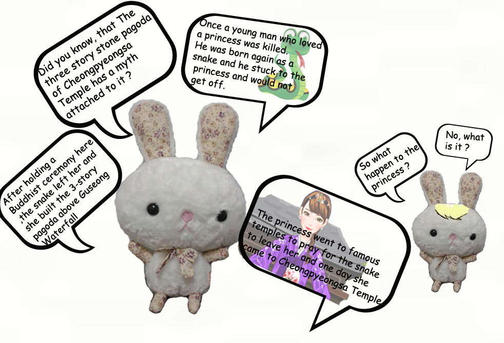 ToKki.BunNy: [buzz Korea] Explore Seoul, Chuncheon and Jeju with Tokki ...
