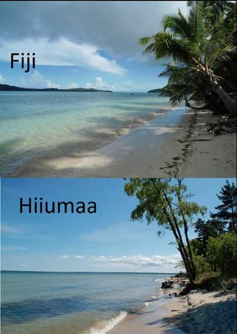 .jazzino.: Maapähkli-šokolaadikook