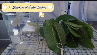 LAPORAN PRAKTIKUM FITOKIMIA " PEMBUATAN INFUSA PSIDII GUAJAVA DAN PIPER ...