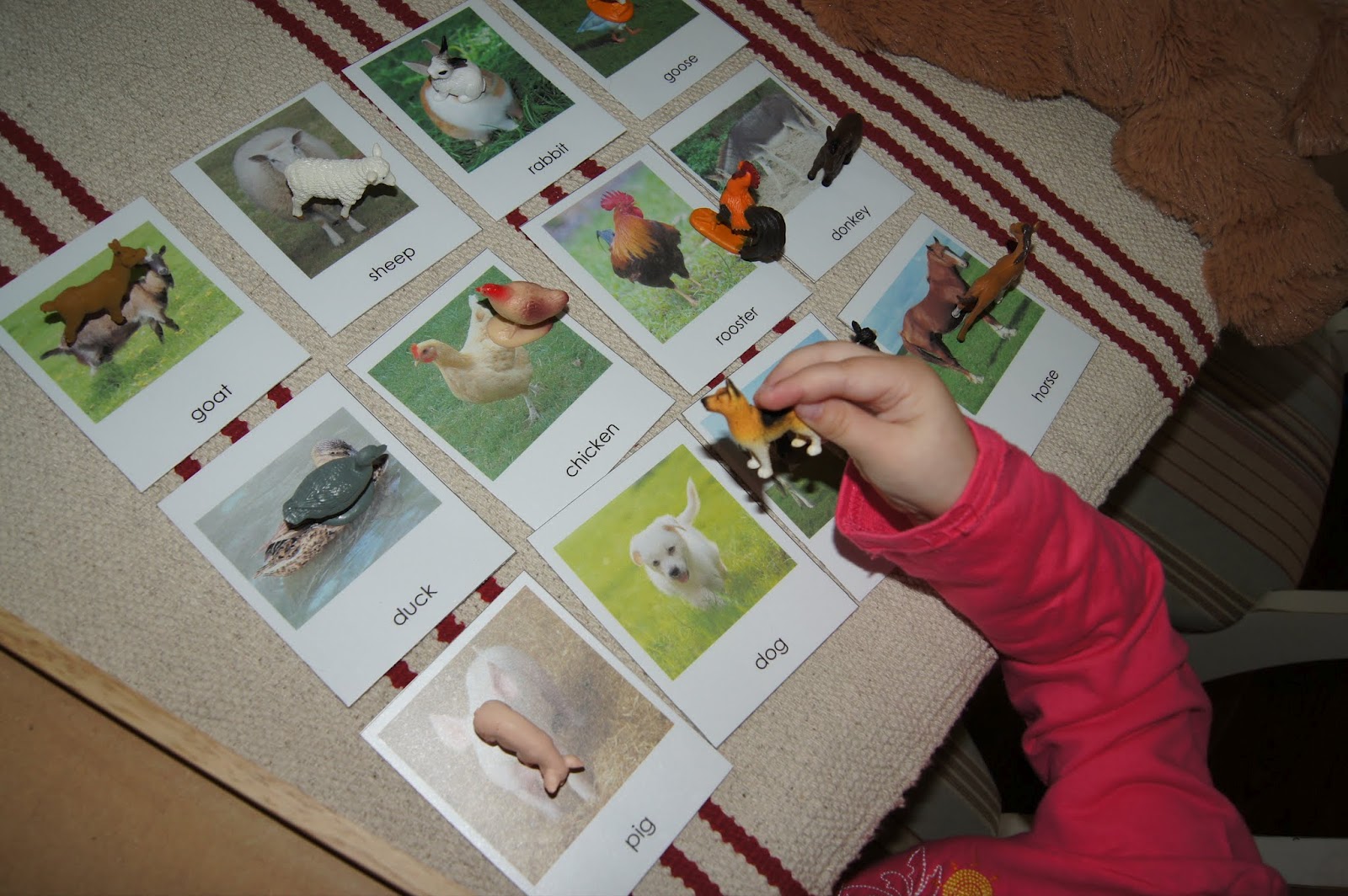 Animal Family Matching, Montessori Language At Home - "Making ...