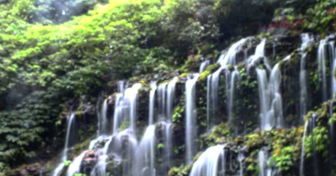 Wayan Putra Guide Francophone