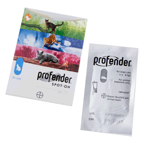 Singpet Pte Coupon Code - upto 20% off Singpet Pte Coupon Codes