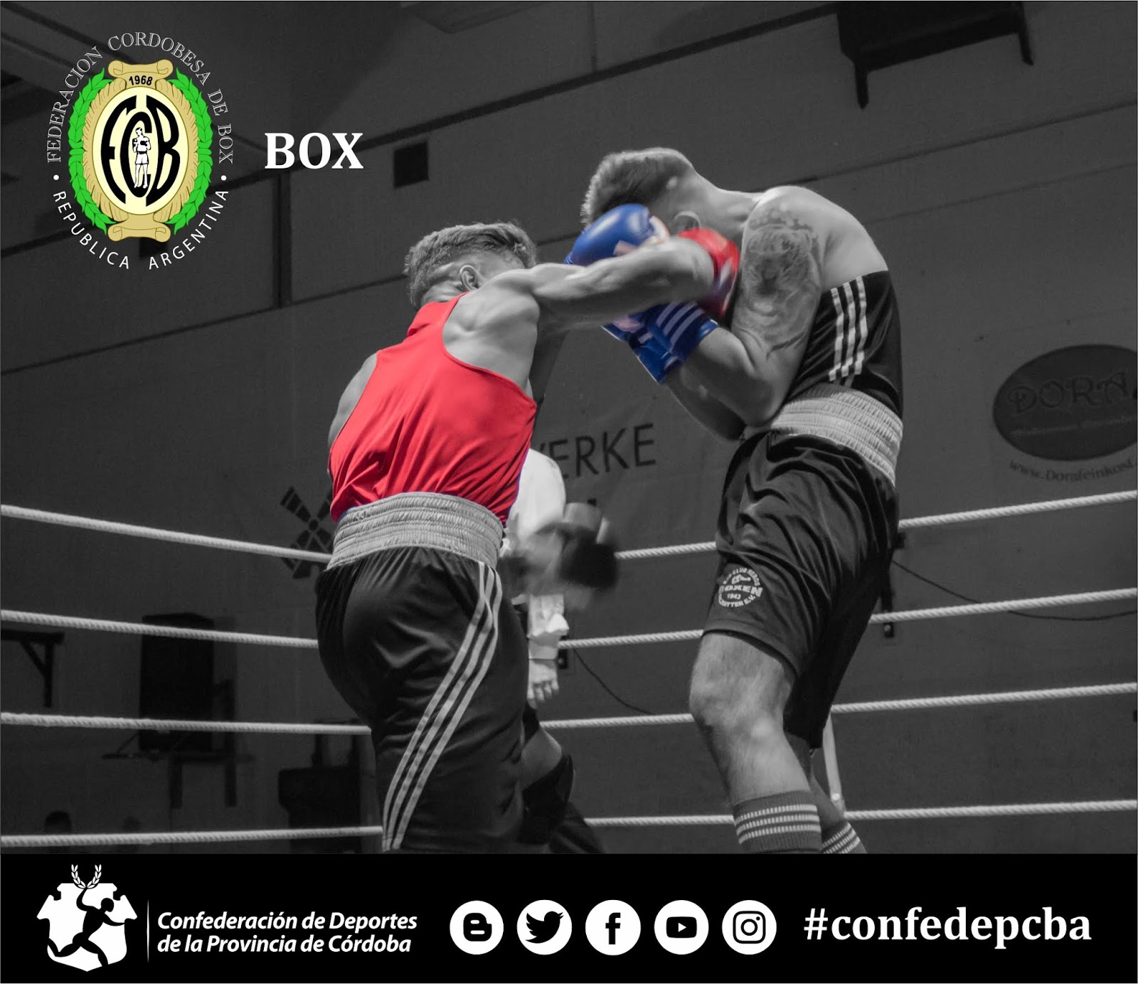 Box: eventos del fin de semana ~ Confederación de Deportes de la ...