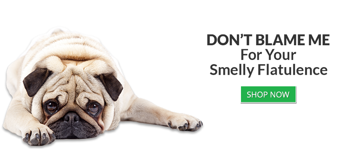 Devrom® (internal deodorant): Devrom® Medicine for Gas