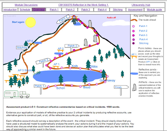 ii-learning : Viable systems approach to managing diversity