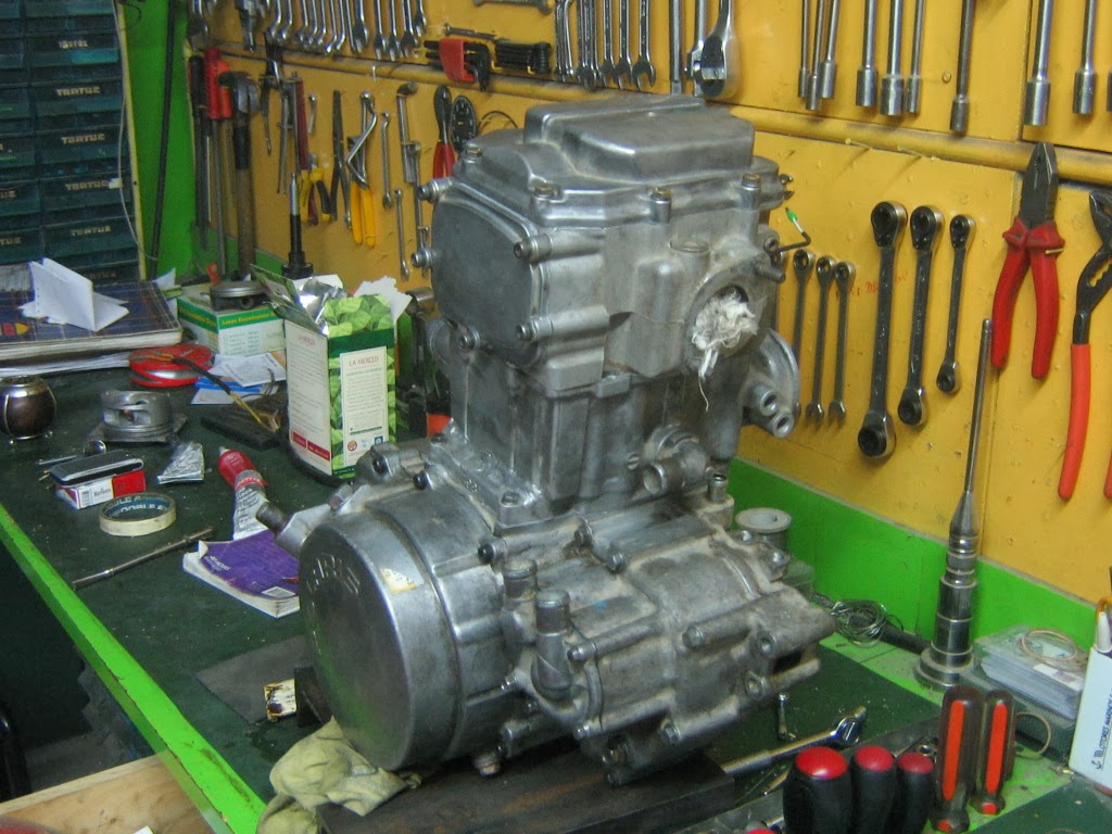 HENKEL MOTORES: Polaris Worker 500