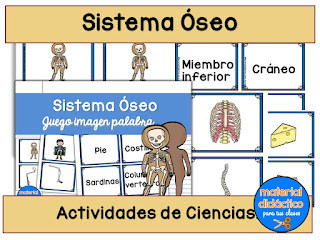 El Sistema Óseo - Material Didactico para tus clases