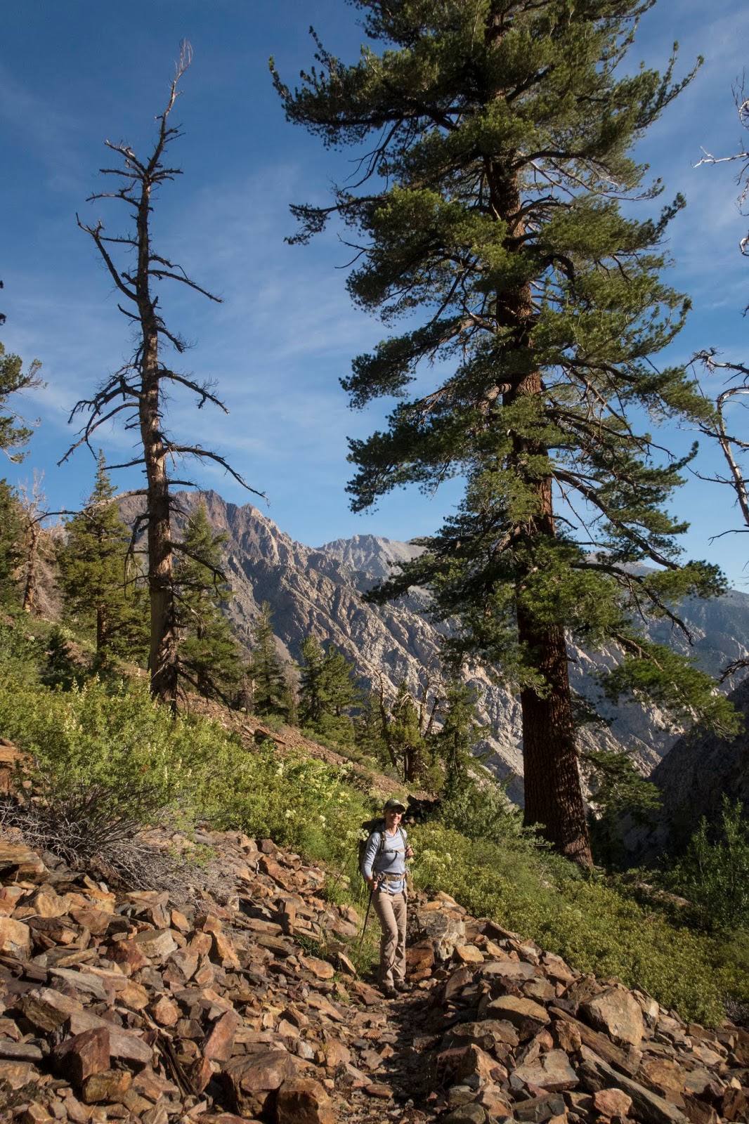 GABLE LAKES INYO NATIONAL FOREST, CALIFORNIA - ADAM HAYDOCK