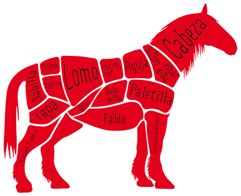 La Cocina de la Silbi: NACE LA MARCA "POTRO DE ORIGEN DE NAVARRA"