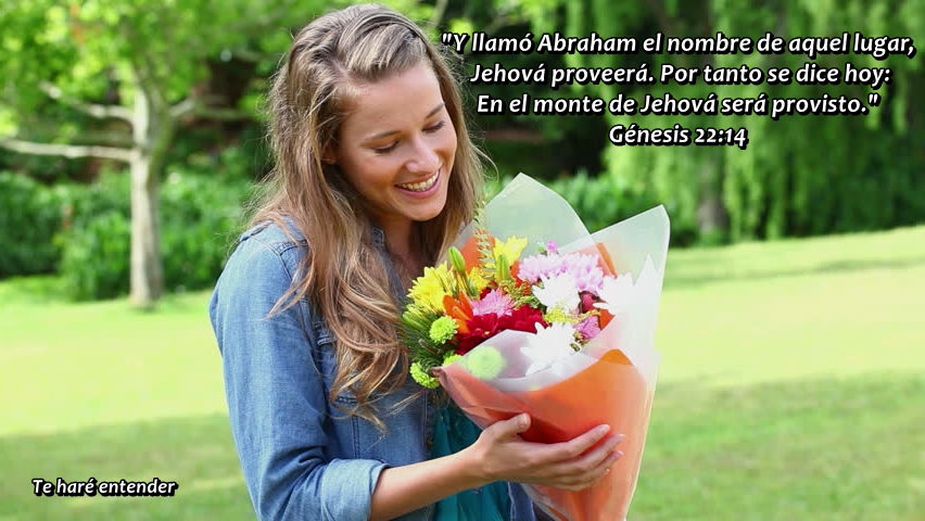 Te Haré Entender...: MI PROVEEDOR