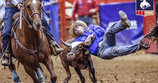 THE WESTERNER: Despite switching horses, Matt Reeves keeps winning