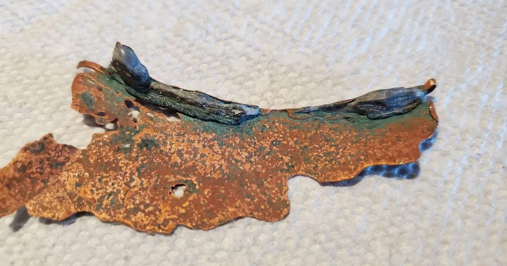 The Treasure Beaches Report Direct From Florida's Treasure Coast.: 2/29 ...