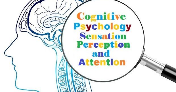 Cognitive Psychology: Sensation, Perception and Attention - The Secret ...