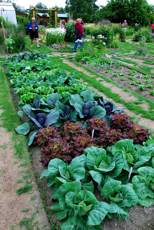 Postcards from the RV: Palmer, Alaska...FDR's Matanuska Colony