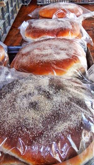 PRUEBA COMIDA TÍPICA DE BAJA CALIFORNIA SUR