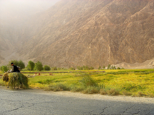Pashtun Valley: Baghlan Province of Afghanistan